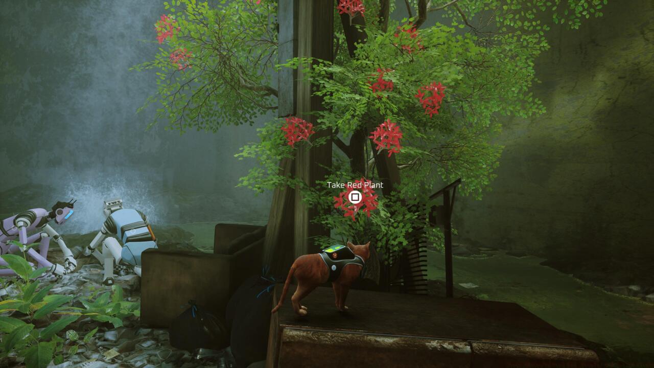 Stray: Where To Find Red, Purple, And Yellow Plants Complete guide to ...