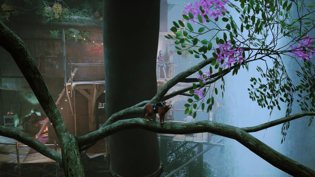 Stray: Where To Find Red, Purple, And Yellow Plants Complete guide to ...