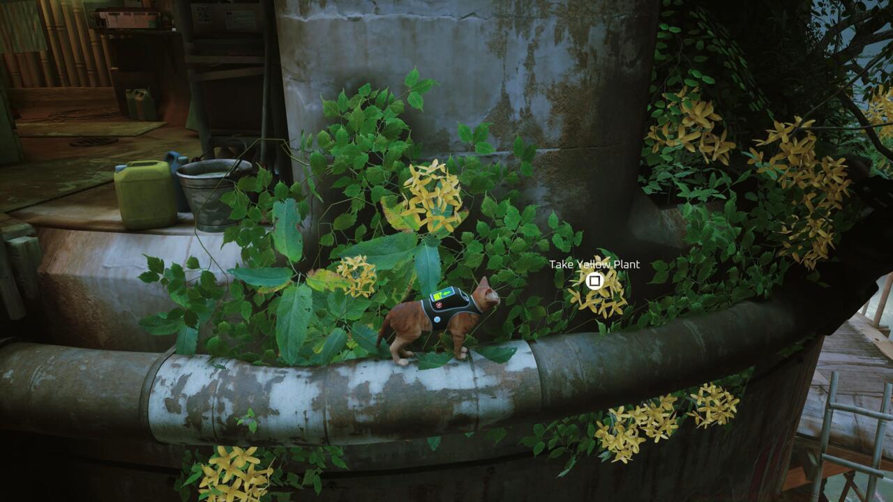 Stray: Where To Find Red, Purple, And Yellow Plants Complete guide to ...